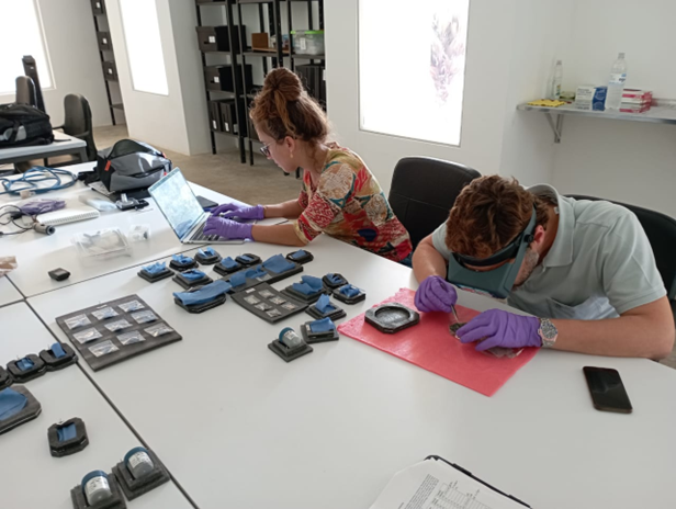 Discover the REVERSEACTION Archaeology Project: Inspiration for your UNEARTHED Season