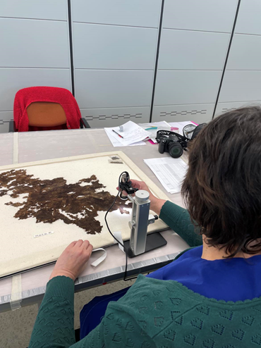 Discover the REVERSEACTION Archaeology Project: Inspiration for your UNEARTHED Season